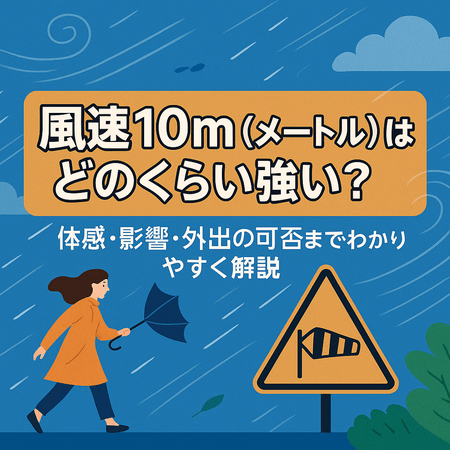 風速10m（メートル）はどのくらい強い？体感・影響・外出の可否までわかりやすく解説 | shitterumon